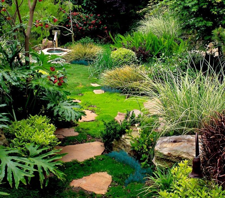 Planting Design with Style - Water Shapes